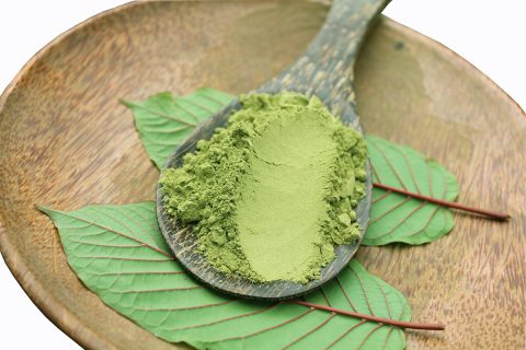 A BEGINNERS GUIDE TO KRATOM - New Agora Newspaper